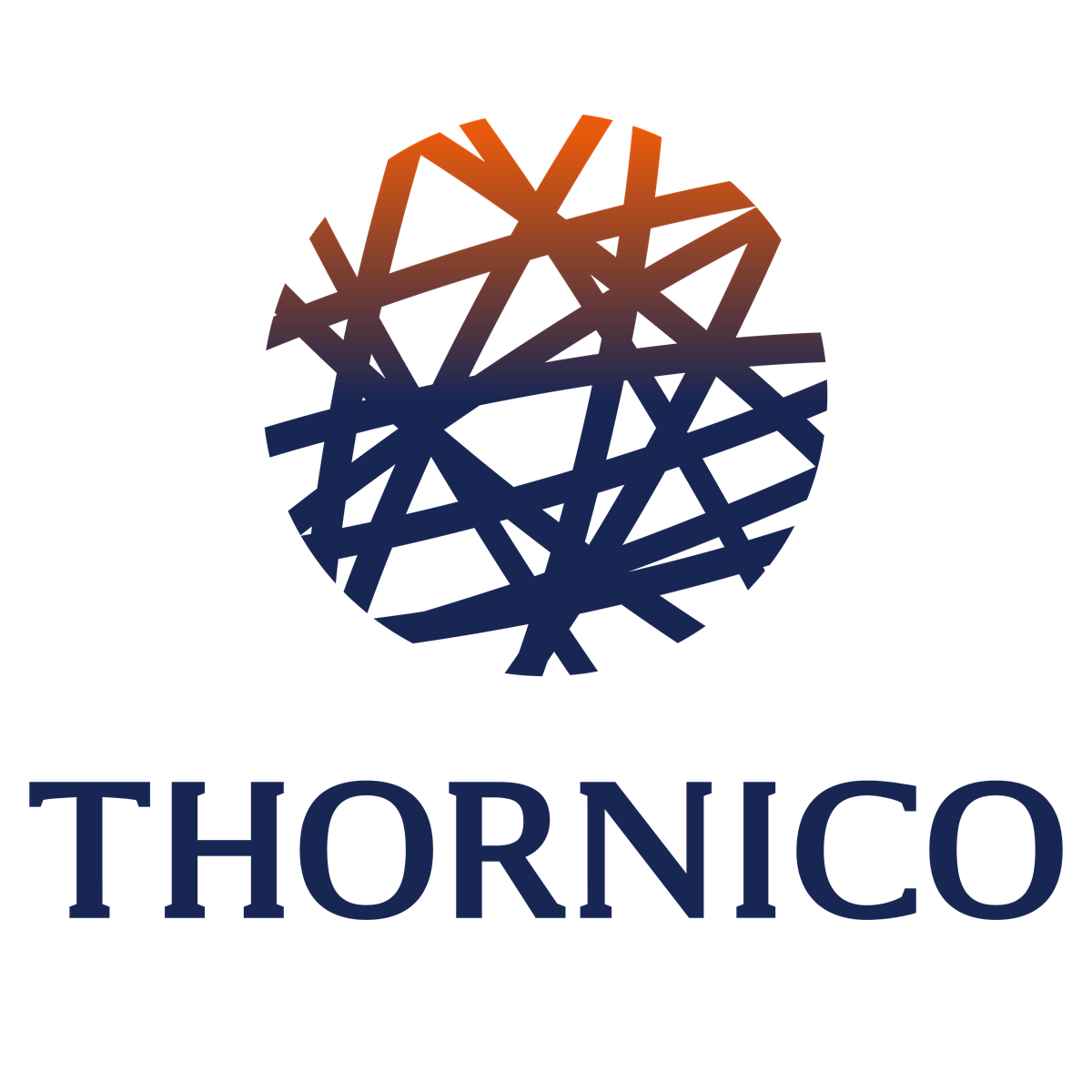 Thorn Group Logo Thorn Creative Marketing Marketing & Communications